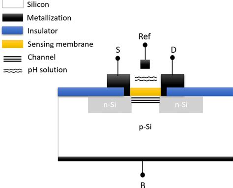 Schematic View Of An Isfet Based Ph Sensor Download Scientific Diagram