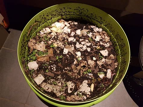 First Timer Hydroponics Dwc System 9 Steps With Pictures Instructables