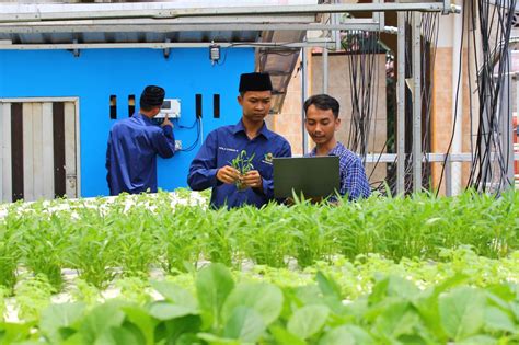 Foto Penerapan Iot Xl Axiata Mudahkan Santri Pada Budidaya Maggot Dan Tanaman Hidroponik