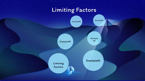 Limiting Factors In An Ecosystem