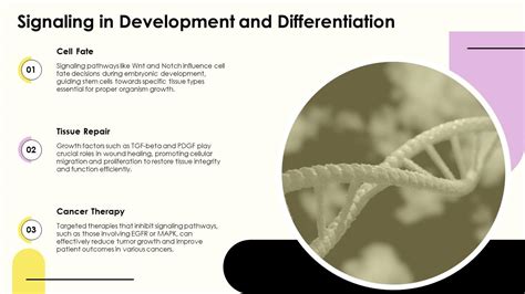 Top 10 Planning And Design Of Cellular Communication System Powerpoint Presentation Templates In