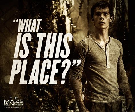 Thomas Maze Runner Quotes Quotesgram