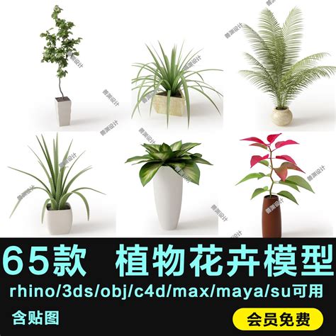 植物模型植物细胞模型图第15页大山谷图库