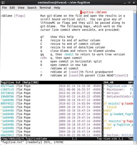 Fugitive Vim Wikiwand