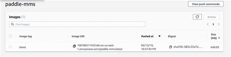Bring Your Own Deep Learning Framework To Amazon SageMaker With Model Server For Apache MXNet