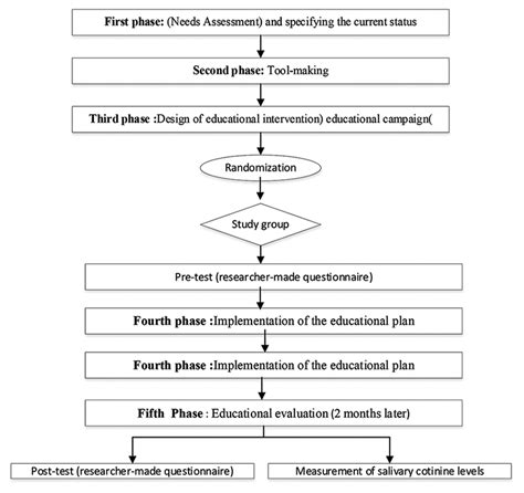 Diagram Execution Steps Download Scientific Diagram