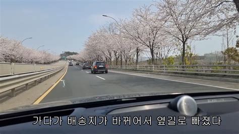 일상 브이로그 먹고 일하고 먹고 놀고 먹고 40대 1인가구 브이로그 Youtube