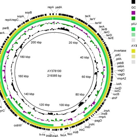 Comparative Plasmid Map Comparing Typical Virulence Plasmid Plvpk Download Scientific Diagram