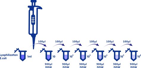 Download Gradient Dilution Clipart 4145216 Pinclipart