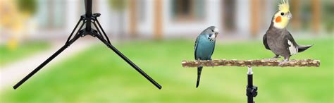 Natur Pfefferholz Sitzstange Für Papageien Höhenverstellbarer Vogelständer Für Kleine Bis