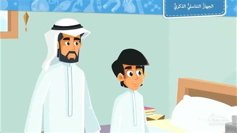 شرح الجهاز التناسلي الذكري والأنثوي Youtube