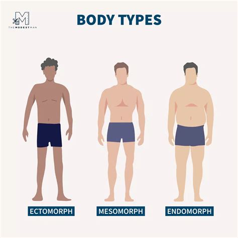 Male Ectomorph Body Type Style And Fashions Go To The Modest Man