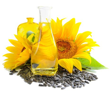 해바라기 오일 Png 무료 다운로드