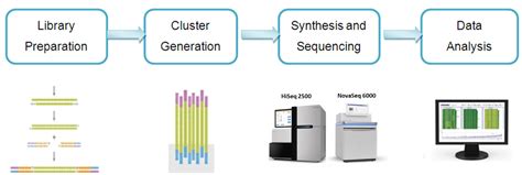 2nd Gen Dna Sequencing