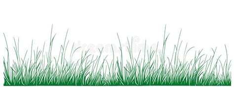 Grass Field Hand Drawn Sketch In Doodle Style Vector Illustration Stock Vector Illustration Of