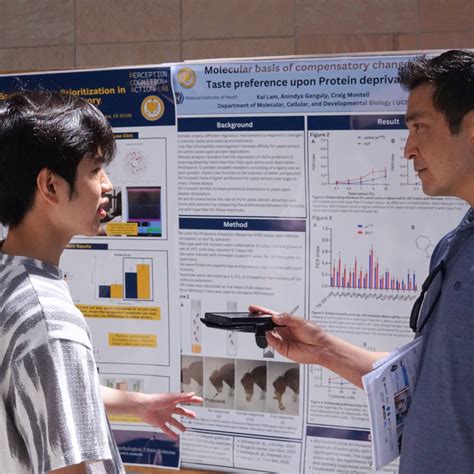 Applications Announced Undergrad Research Programs Csep