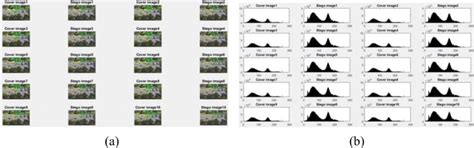 a cover and stego frames of video b histogram of cover frames and stego