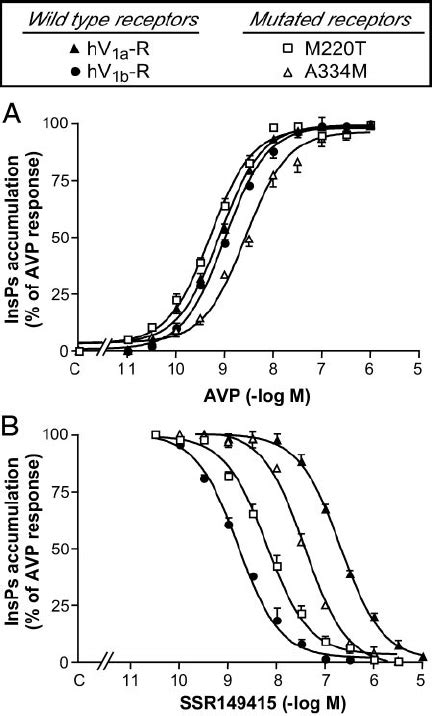 Functional Properties Of Wild Type And Mutant Avp Receptors Cho Cells