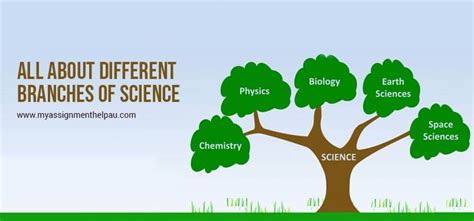 All About Different Branches Of Science Branches Of Science Science Chemistry Science