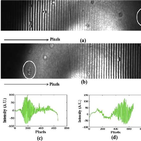 A Off Axis Interferogram B Wrapped Phase Map C Unwrapped Phase