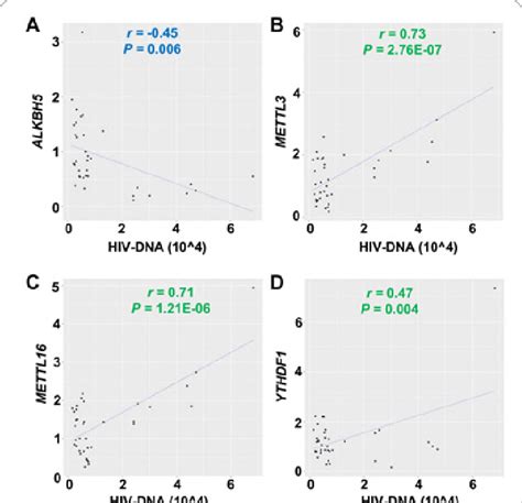Patient Pbmc Derived Hiv Dna Concentration Correlated With Expression Download Scientific