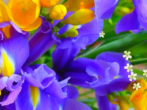 Честит Рожден Ден Pepelqshka71 Page 2 Форум