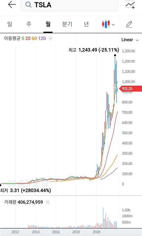 급등주 차트모음집 테슬라 주식 시세 주가 일론 머스크 Tsla 건행박사 미국주식