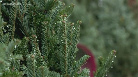 Christmas Tree Recycling And Disposal 13newsnow Com