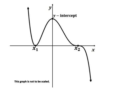 Solved A Quintic Polynomial Function Degree Of 5 Withzeros X1 2 Order Tutorbin
