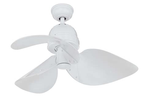 Intertek Ceiling Fan Shelly Lighting