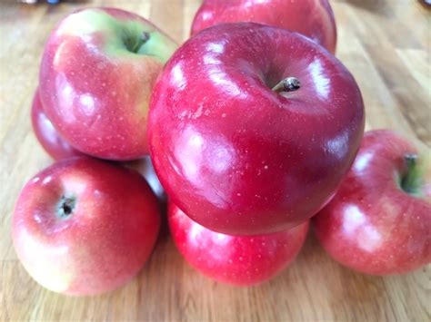 25 Seeds Ruby Frost Apple New Sweet Juicy Cruncy Usa Seller Etsy
