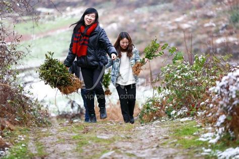 贵州黔西：开展植树造林 助力乡村振兴 人民图片网