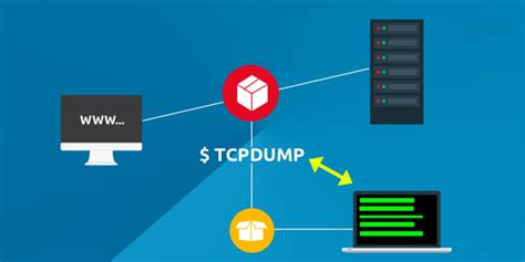 Tcpdump Analisar O Tráfego De Rede De Forma Simples E Prática
