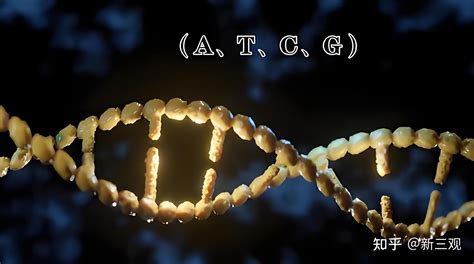 易经的奥秘：蕴涵惊人遗传密码！ 知乎