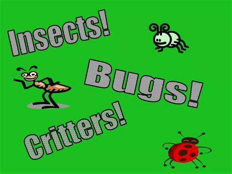 PPT Bugs PowerPoint Presentation Free Download ID 2011930