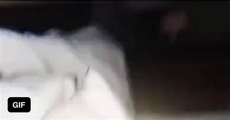 Guys I M Trying To Slep GAG Guys I M Trying To Slep GAG