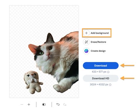 Introducing Remove Bgs New Magic Brush Feature Remove Bg Blog