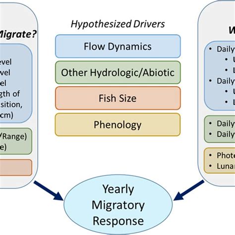 Conceptual And Analytical Framework To Investigate The Environmental