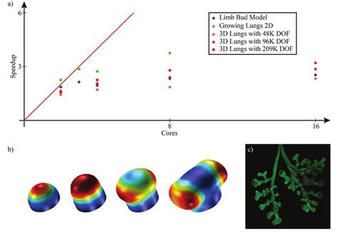 A Speed Up Of Different Models Upon Parallelization Strong Scaling Download Scientific