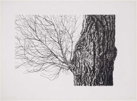 Capillary Tree Drawing