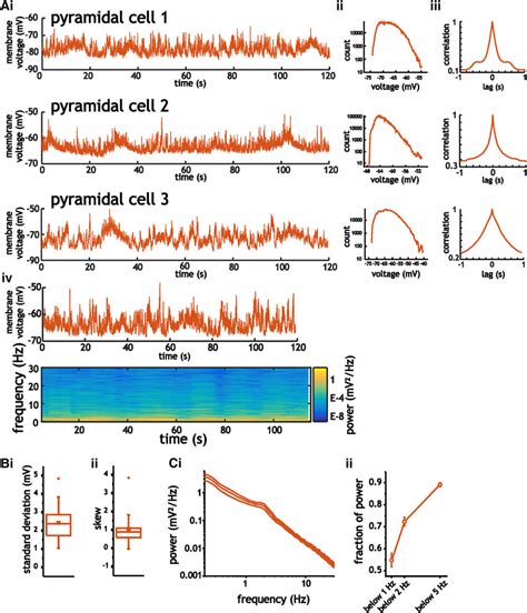 Characterization Of Intracellular Membrane Voltage Fluctuations In Download Scientific Diagram