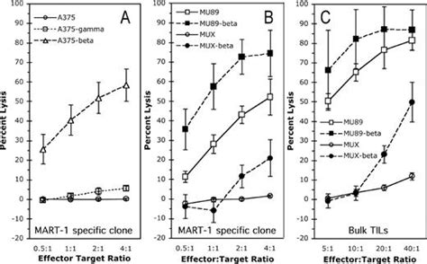 Enhancement Of Human Melanoma Antigen Expression By Ifn β1 The