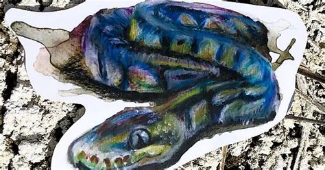 Ball Python Stickers Go Well With Sunflower And Leafy Sea Dragon