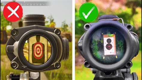 Acog Sight View