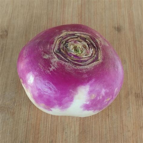 Autumn Turnip Bicolor Brassica Rapa Ssp Rapa Seeds