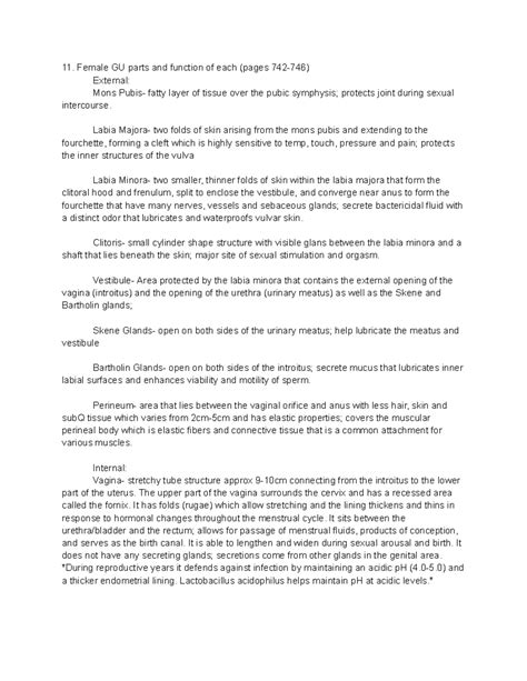 NU545 Unit 3 Google Docs Female GU Parts And Function Of Each Pages 742 746 External Mons