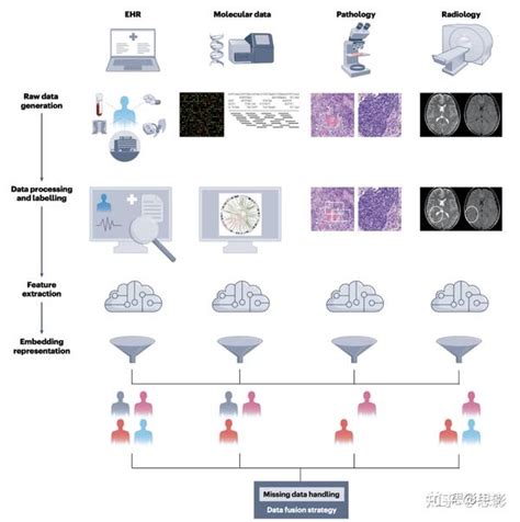使用深度学习进行多模态数据融合以发现癌症生物标志物 知乎