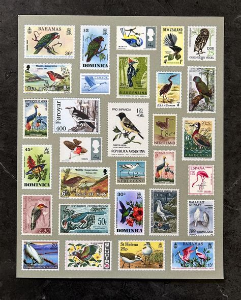 Birds Postage Stamp Print Vintage Birds From Around The World