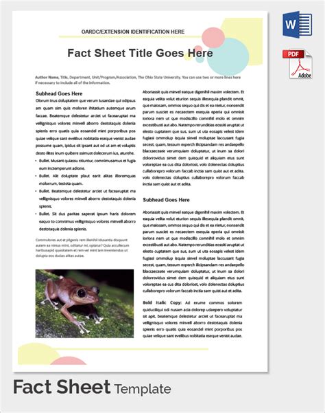 Fact Sheet Template Microsoft Word Creative Design Templates