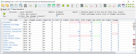 Accdbmerge Docs Batch Data Diff Tab